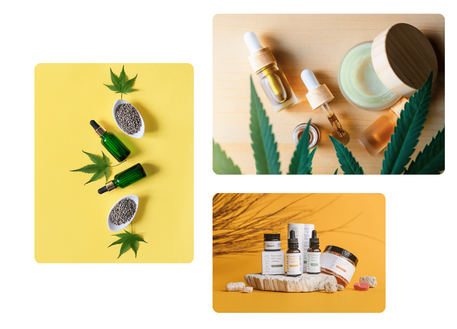 TikTok Ads Services for Cannabis & CBD Shops - HIGH RYZE🌿